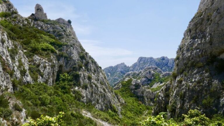 Marseille: Sormiou Calanque Half-Day Hiking Tour w/Swimming - The Trek: Scenic Trails & Breathtaking Views