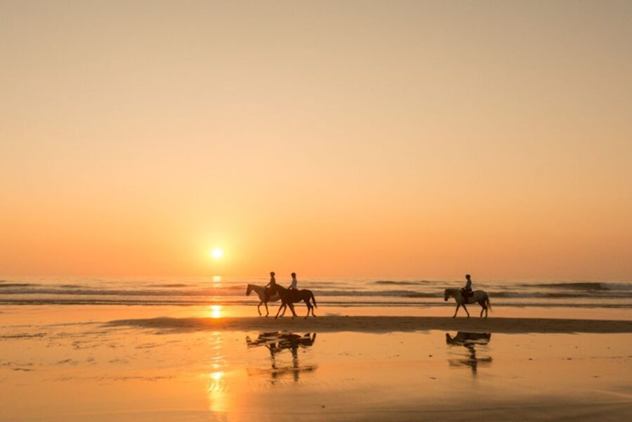 Melides: Horse Riding on the Beach with Wine Tasting
