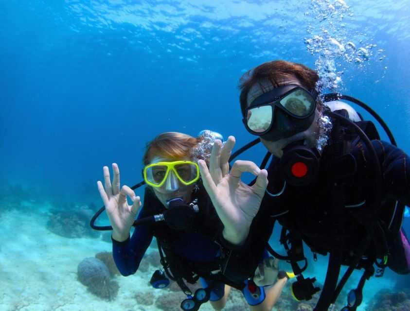 Menorca: Baptism Scuba Diving in Marine Reserve