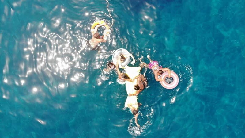 Mogan: Dolphin Watching Boat Trip with Swim Stop