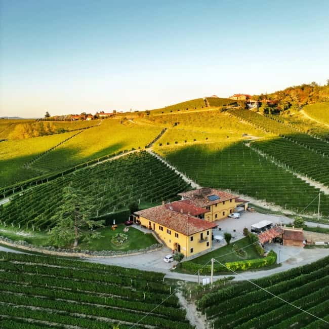 Monforte d'Alba: Wine and Chocolate Tasting Experience - Why This Experience Matters for Travelers