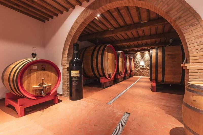 Montalcino: Vinyard Tour with Vertical Brunello Tasting