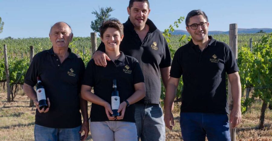 Montefalco: Winery and Vineyard Tour and Private Tasting