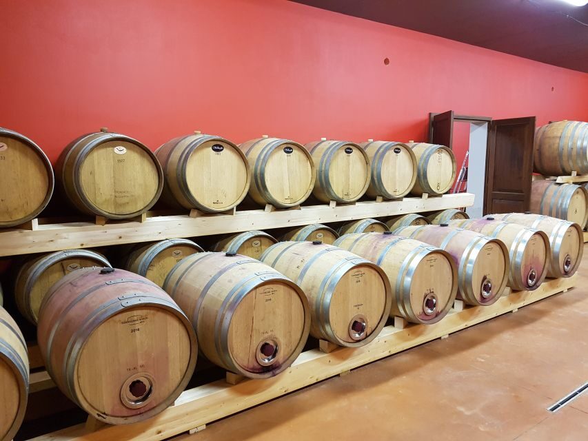 Montepulciano: Tuscan Winery Tour with Wine Tasting & Meal