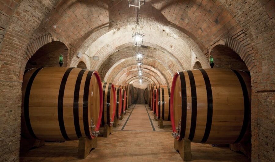 Montepulciano: Wine Tasting & Lunch in a Typical Winery