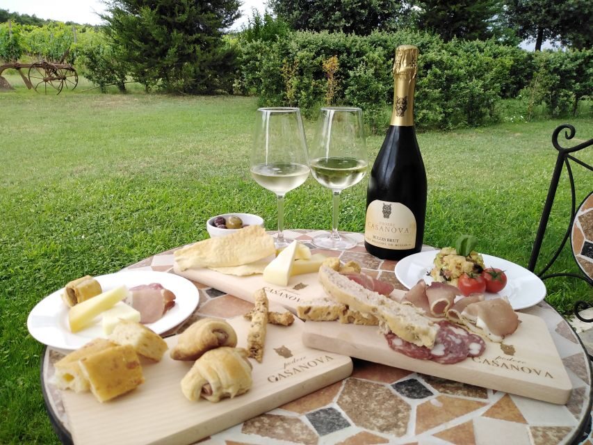 Montepulciano: Winery Tour, Tasting, and Vineyard Picnic