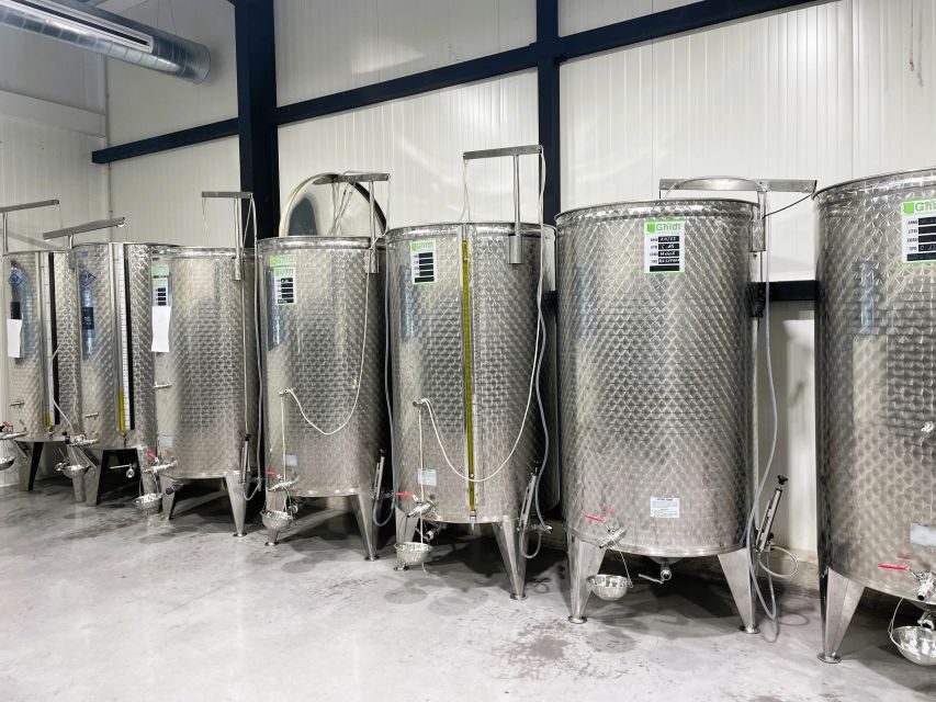 Montpellier : Visit lavender field and an Olive Oil Mill