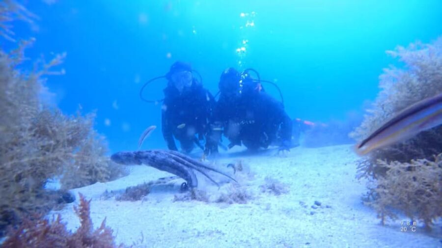My first scuba dive in the Ocean from Madeira