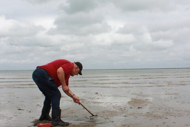 Nature walk to discover Noirmoutier and its charms