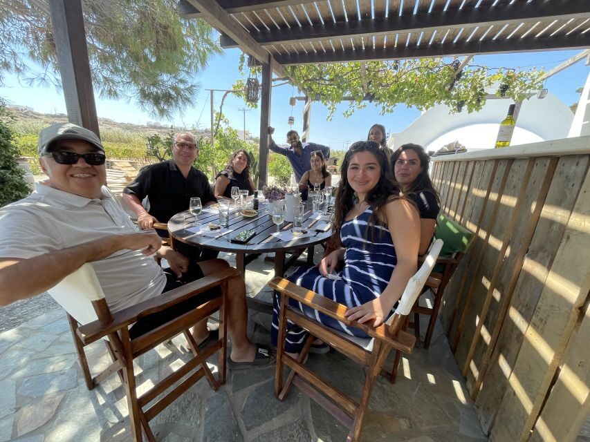 Naxos: Private Vineyard Tour & Wine Tasting with an Expert