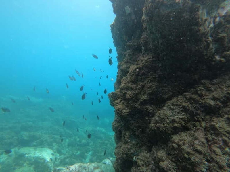 Nerja: Cliffs of Maro-Cerro Gordo Paddle-SUP Rental