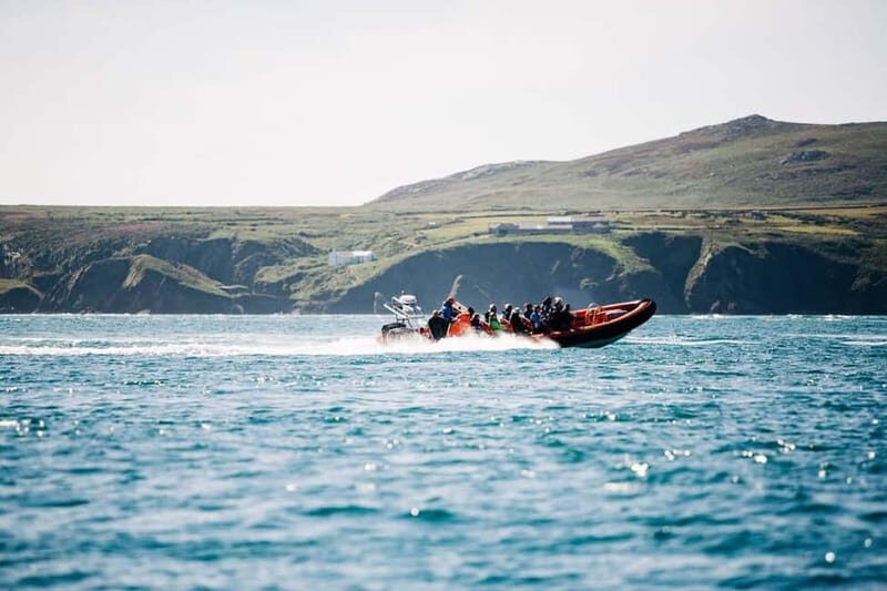 Newhaven: Seven Sisters and Birling Gap Boat Tour