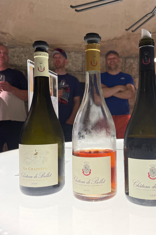 Nice: Bellet Vineyards E-Bike Tour with Wine Tasting - The Practicalities: What to Expect and How to Prepare