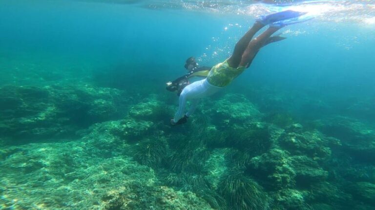 Nice, Cap d'Ail: Sea Scooter Snorkeling Tour - Pricing and Value