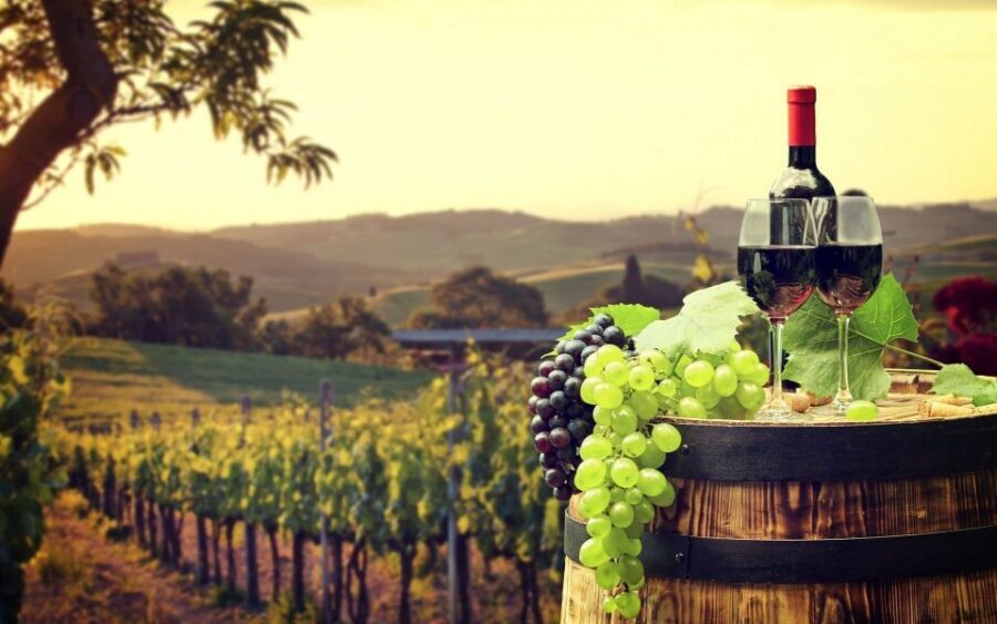 Nice: Provence Village Tour with Wine and Produce Tasting