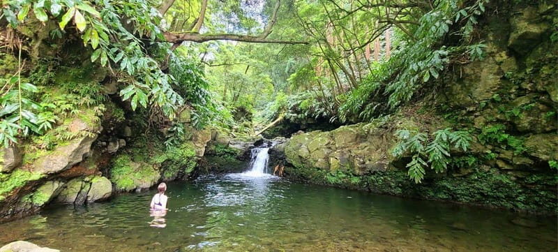 Nordeste/Northeast coast FULL DAY Waterfalls Hike