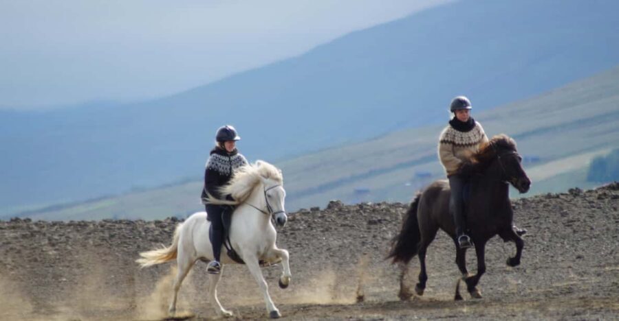 North Iceland: Horseback Riding Tour