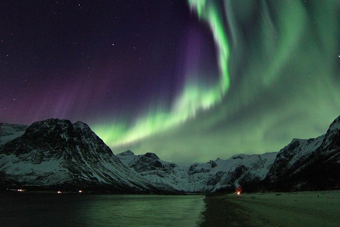 Northern Lights by Minibus. Photos Under the Lights included. Tromso - An Overview of the Northern Lights Minibus Tour