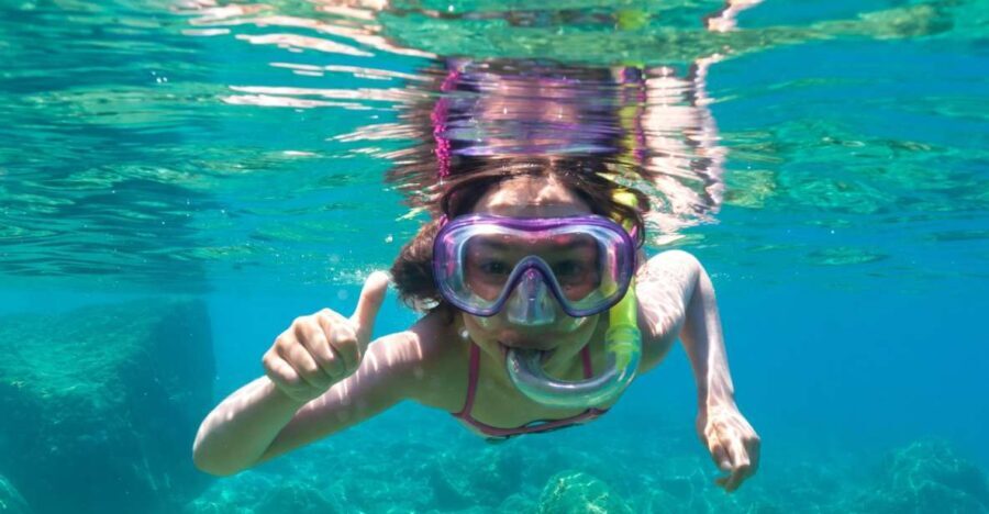 Olbia: Dolphin Watching and Snorkeling Boat Tour
