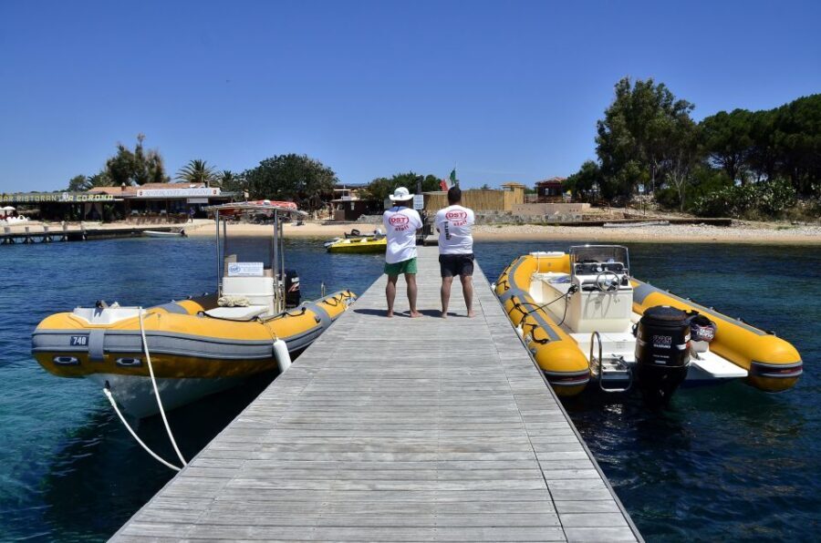 Olbia: Tavolara and Molara Snorkeling Boat Tour