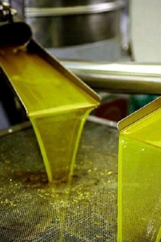 Olive oil Tasting 3-hour Trip from Chania Souda Cruise Port