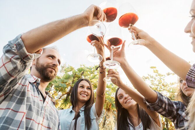 Organic Wine Tasting in Kefalonia - Practical Details and Value