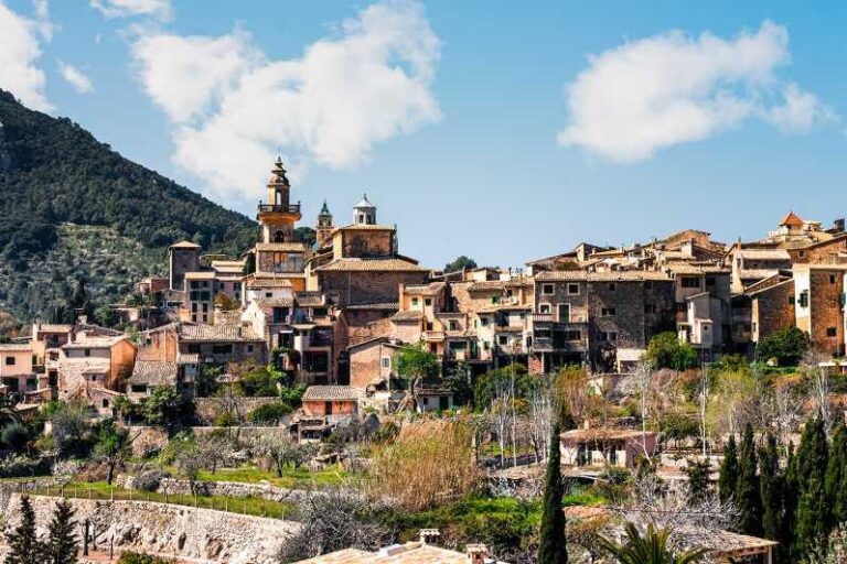 Palma, Cathedral & Valldemossa: Guided walking Tour - Transportation and Group Dynamics