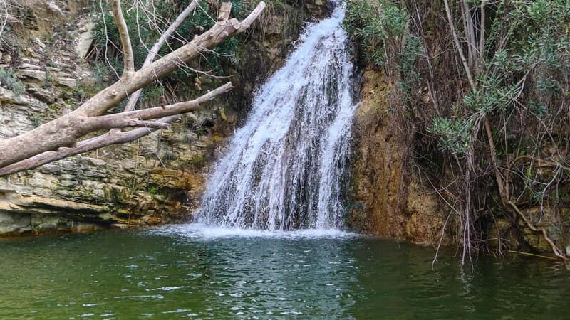 Paphos: Half Day Jeep Tour Akamas Peninsula (Private)