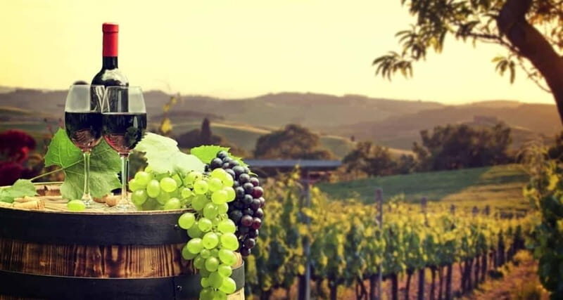 Paphos: Private Wine Tour with Tastings and Winery Visits