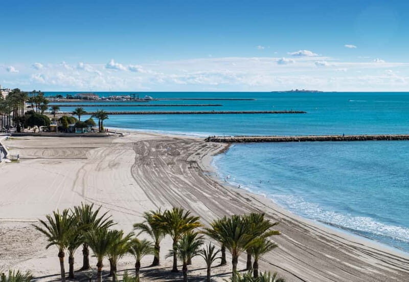 Paragliding adventure in Santa Pola from Alicante, including pick-up in a van.