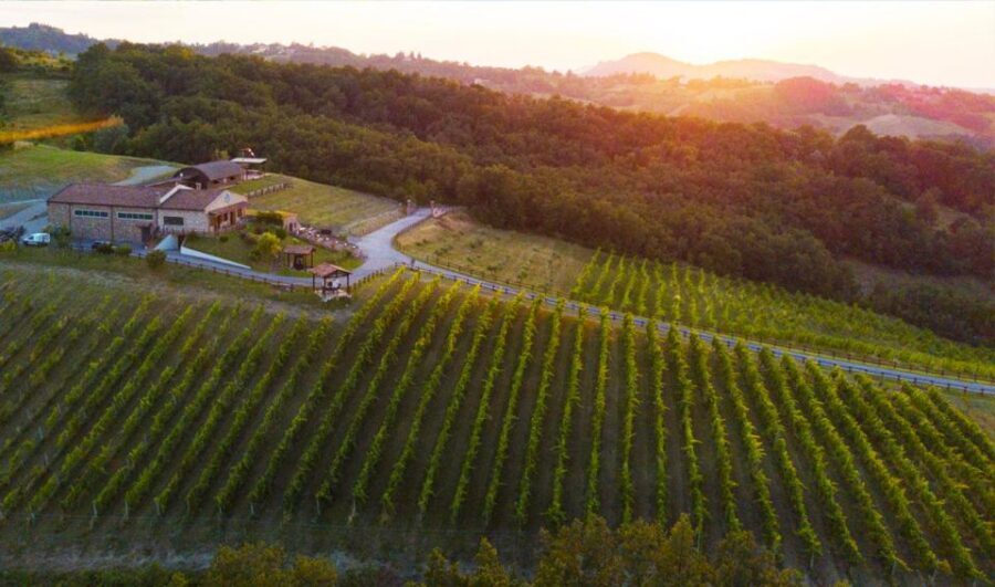 Parma: Winery Tour and tasting