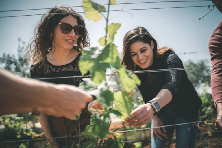 Partinico: Farm Augustali Winery Tour with Picnic & Tastings - The Scenic Walk and Farm Experience