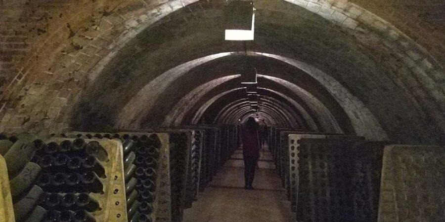 Penedes: Private Wine and Cava Tasting Tour