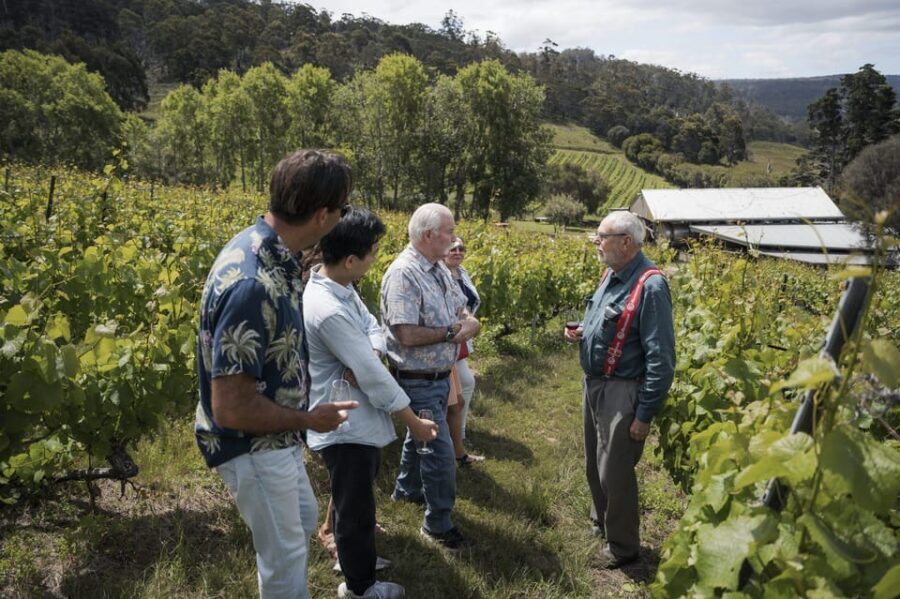 Piedmont Private Wine and Food Tour with Tastings