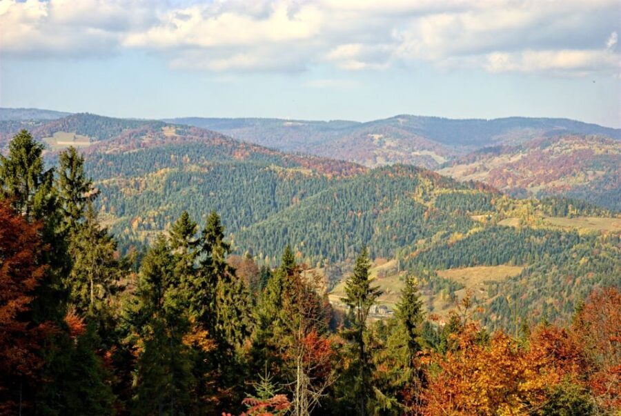 Pieniny Mountains: Hiking and Rafting Tour from Krakow
