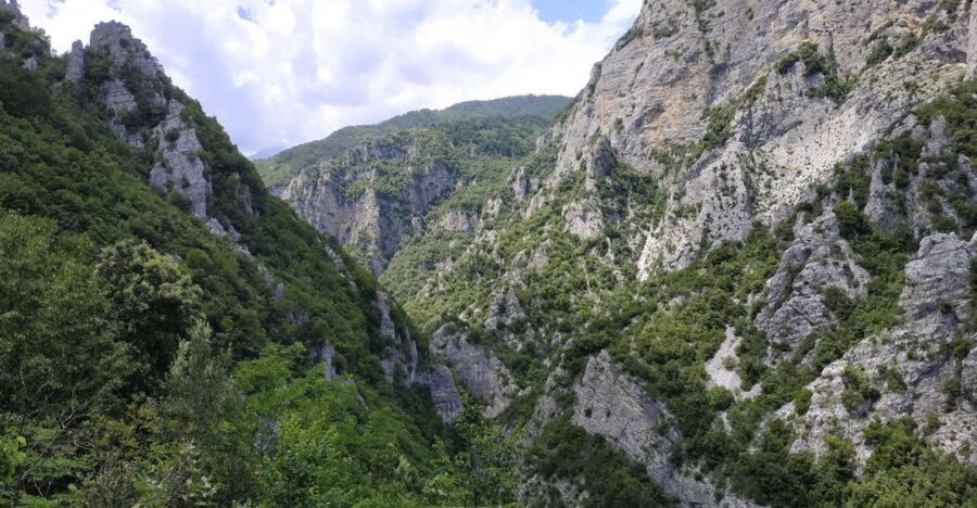 Pieria: Guided Hiking Tour in Enipeas Gorge of Mount Olympus