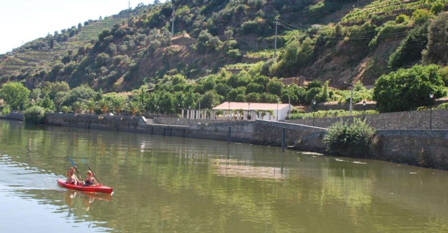 Pinhão: Douro Valley Rabelo Boat Tour and Kayak Experience