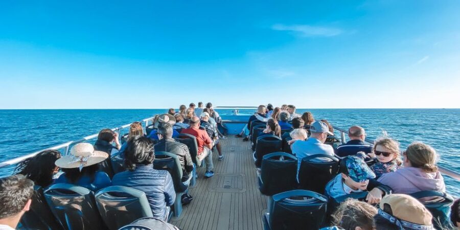 Portimão: Benagil Caves & Dolphins Watching with Biologist