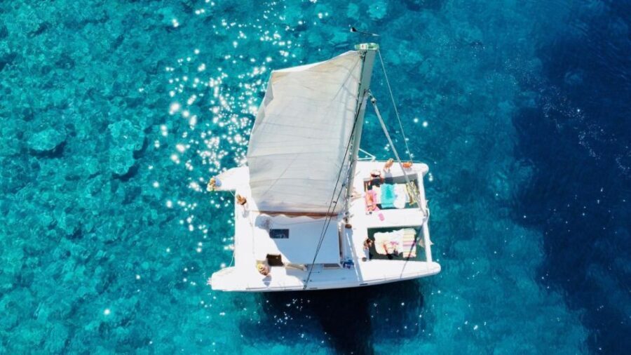Porto Conte: Half-day catamaran tour with aperitif