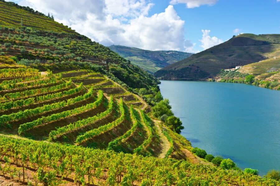 Porto: Douro Valley History & Wine Tour with Cruise & Lunch