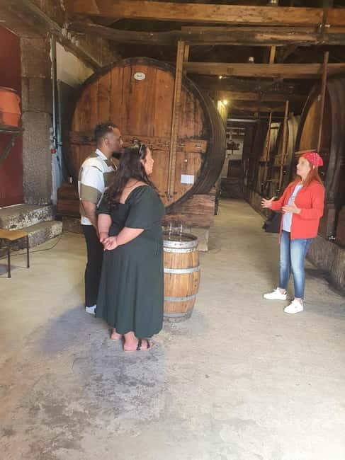 Porto: Douro Valley Private Tour with Winery Visit & Lunch