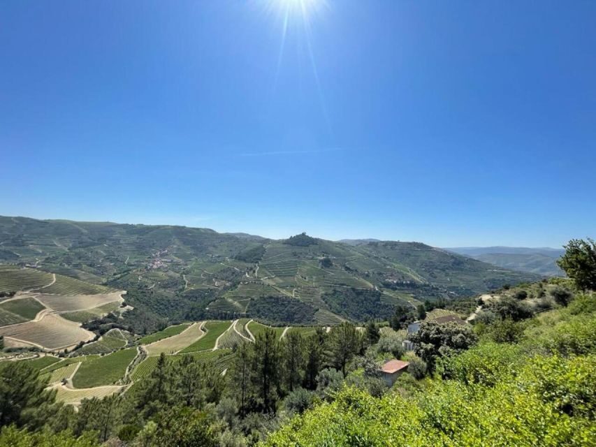 Porto: Douro Valley Tour with 2 Wineries, Lunch and Cruise