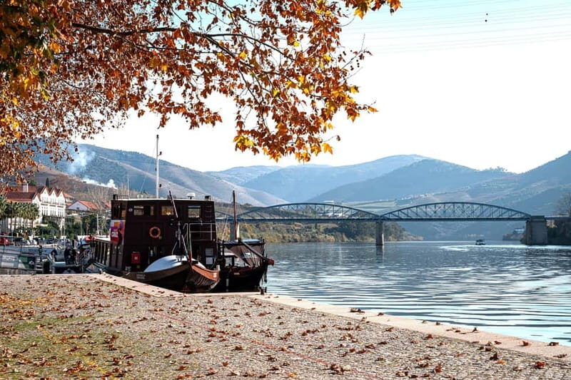 Porto: Douro Wine Tour with Lunch and River Cruise
