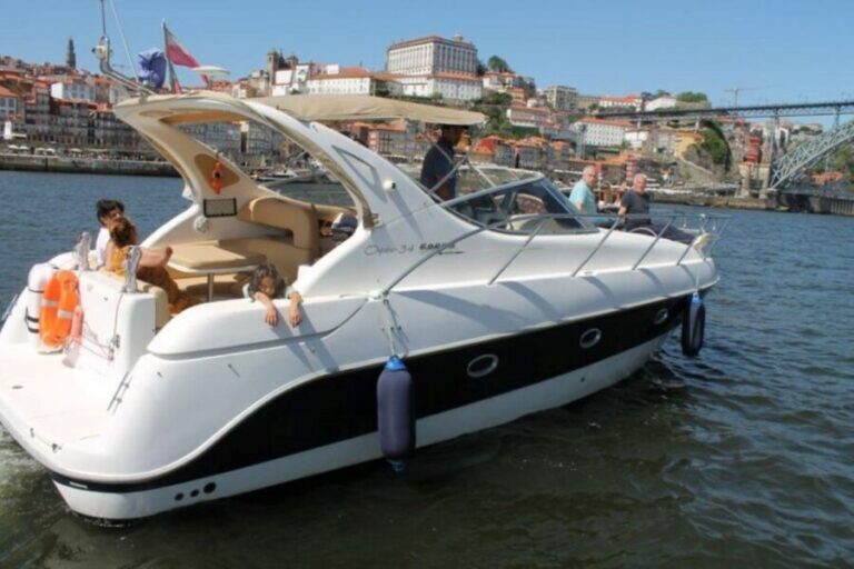 Porto: Passeio de Barco no Rio Douro com Degustação - Who This Tour Is Best For