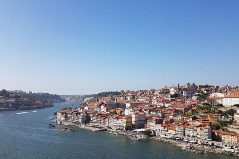 Porto: Private custom tour with a local guide - Experience Highlights and Itinerary Breakdown
