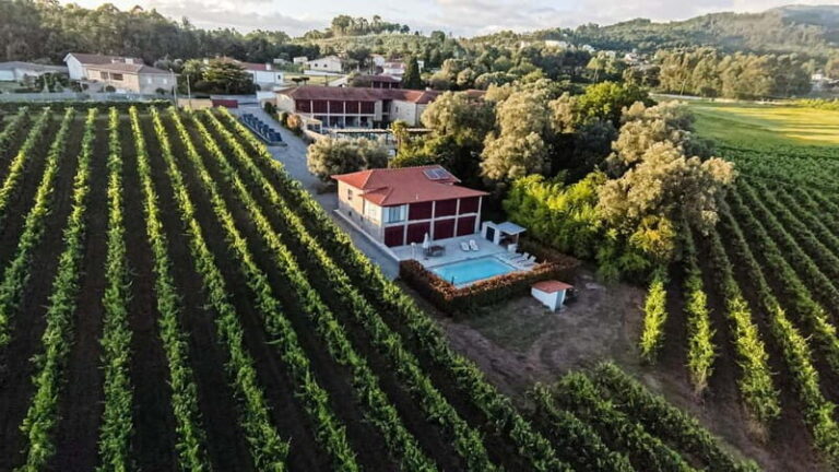 Porto Tour: Vinho Verde / Braga / Guimarães - Why This Tour Offers Great Value