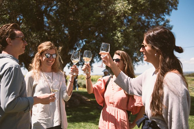 Premium Vineyard Tour & Tasting - What makes this tour stand out?