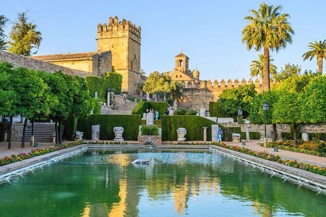 Private 3-hour Walking Tour of Cordoba with official tour guide