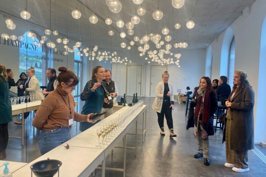 Private Champagne Moet Chandon, Pommery, Pressoria Day trip