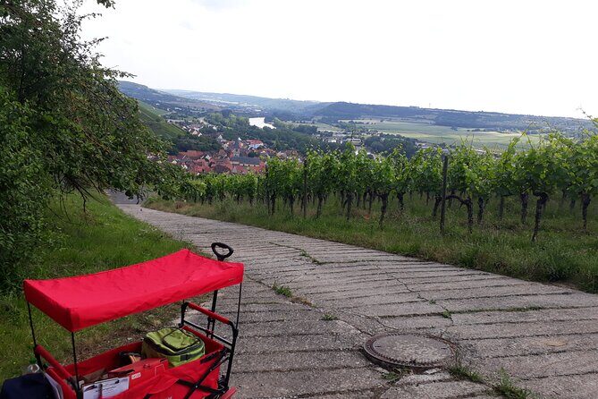 Private city rally in Würzburg including wine tasting